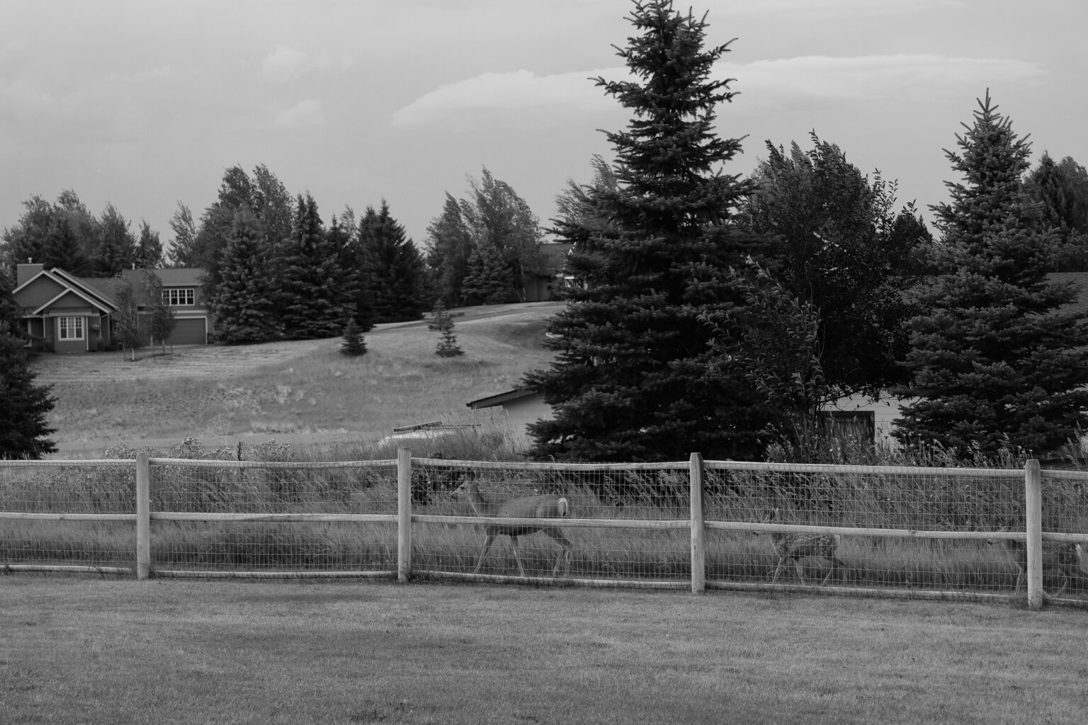 Fujifilm XT50 Lens Reviews + Sample Photos - Mekenna's Moments